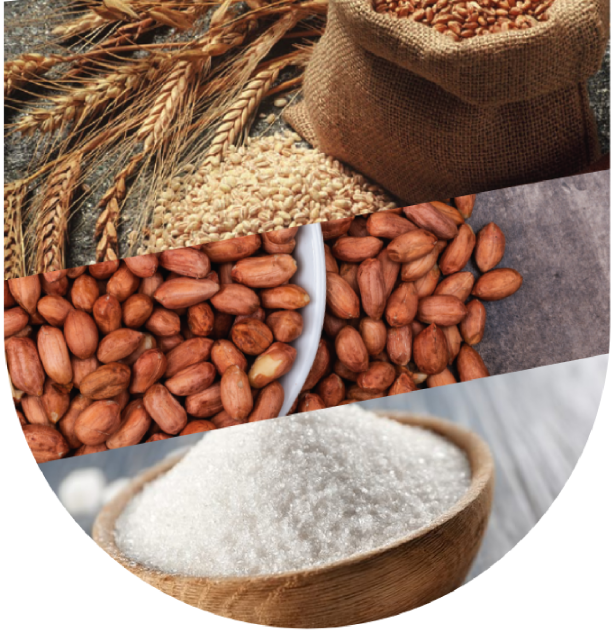 Ksons Global Commodities | Homepage